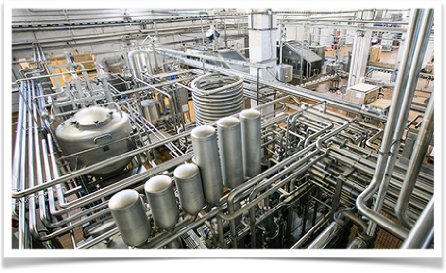 What We Do - TNP GROUP | REINVENTING EXPERIENCE